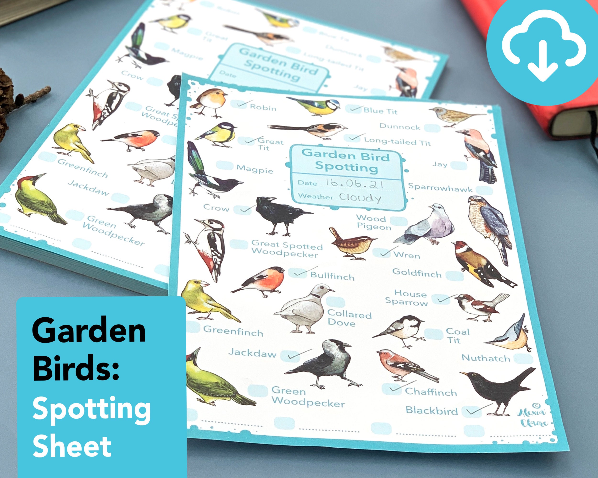 Garden Birds Spotting Worksheet - Educational Wildlife Printable - Etsy