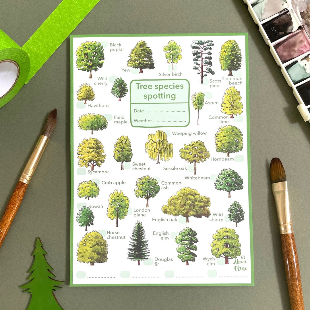 Trees Spotting Notepad Nature Walk Journal - Etsy