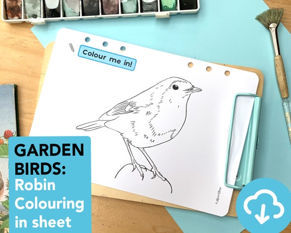Garden Birds Colouring in Sheet Educational Birds Species - Etsy
