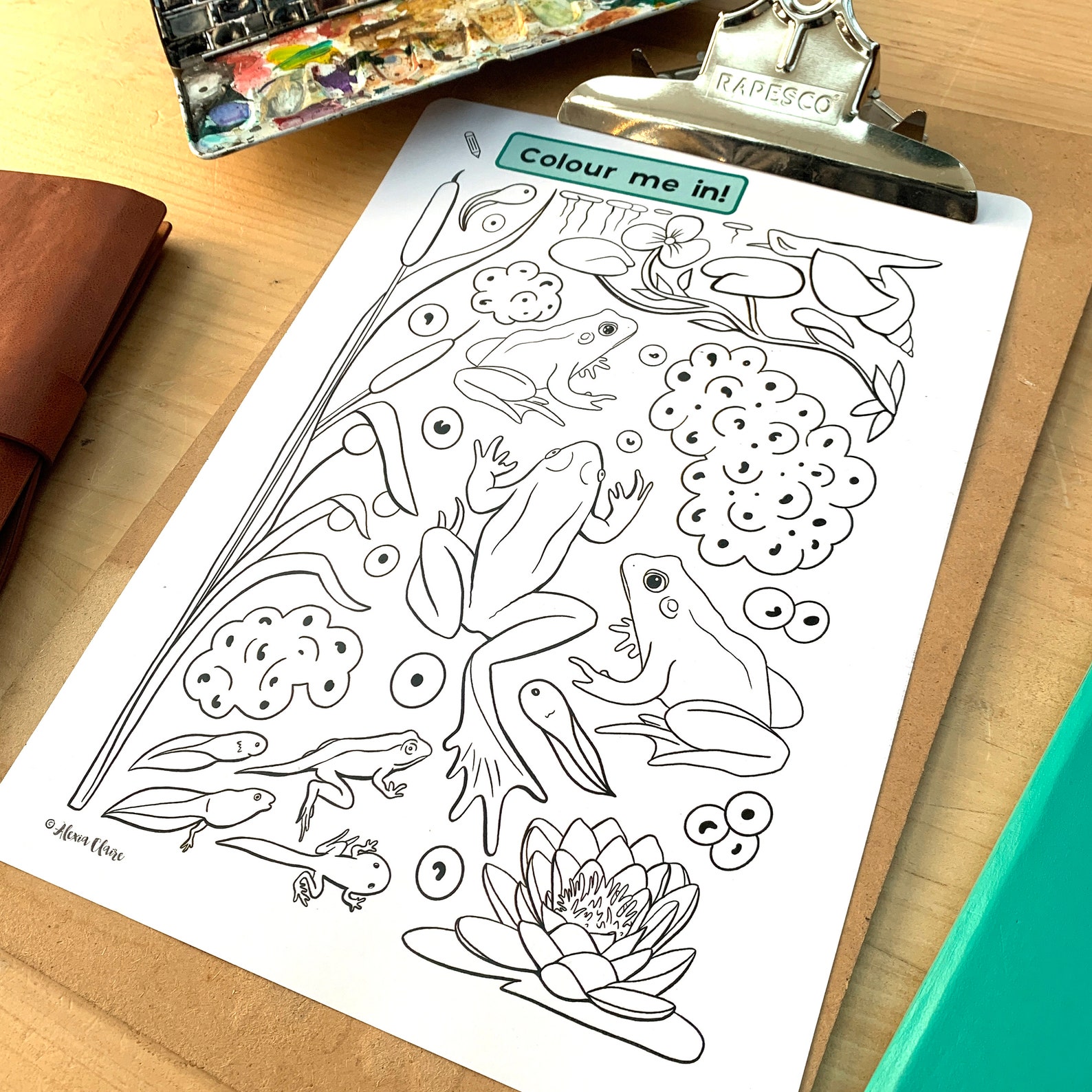 Frog Colouring in Sheet Educational Pond Printable | Etsy UK