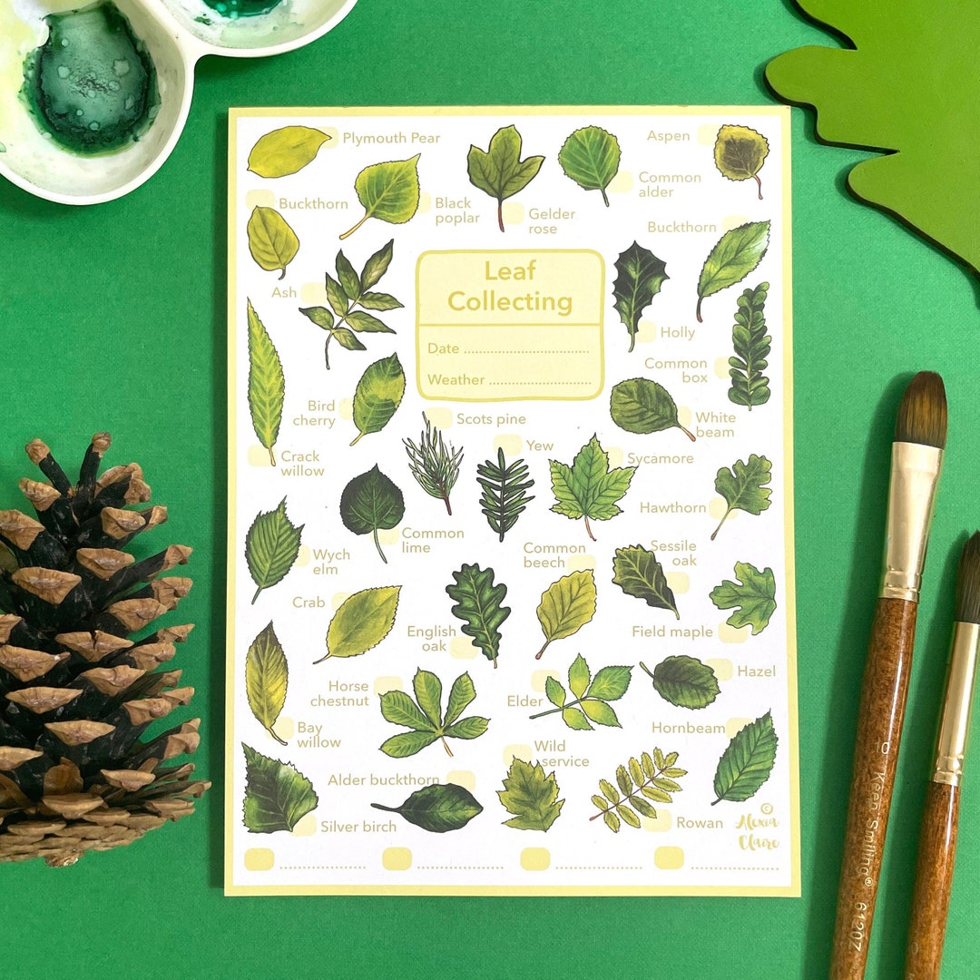 Leaf Collecting Notepad Nature Walk Journal - Etsy