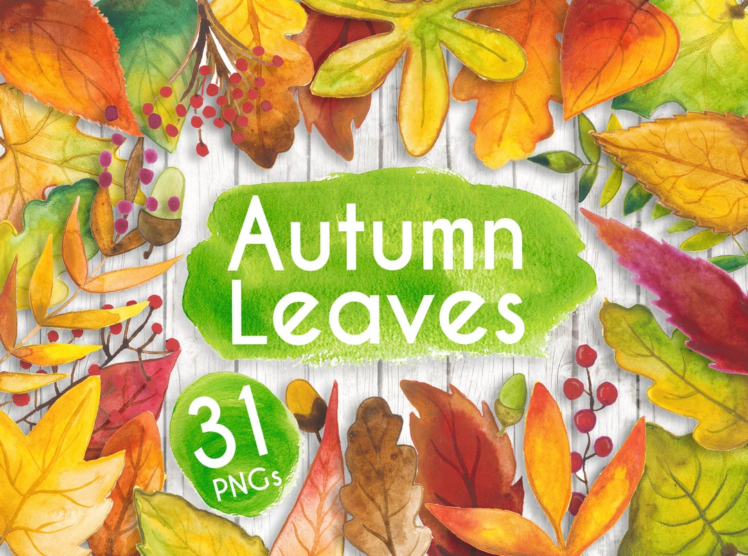Autumn Leaves Clipart - Fall Clipart, Autumn Clipart - Planner Digital ...