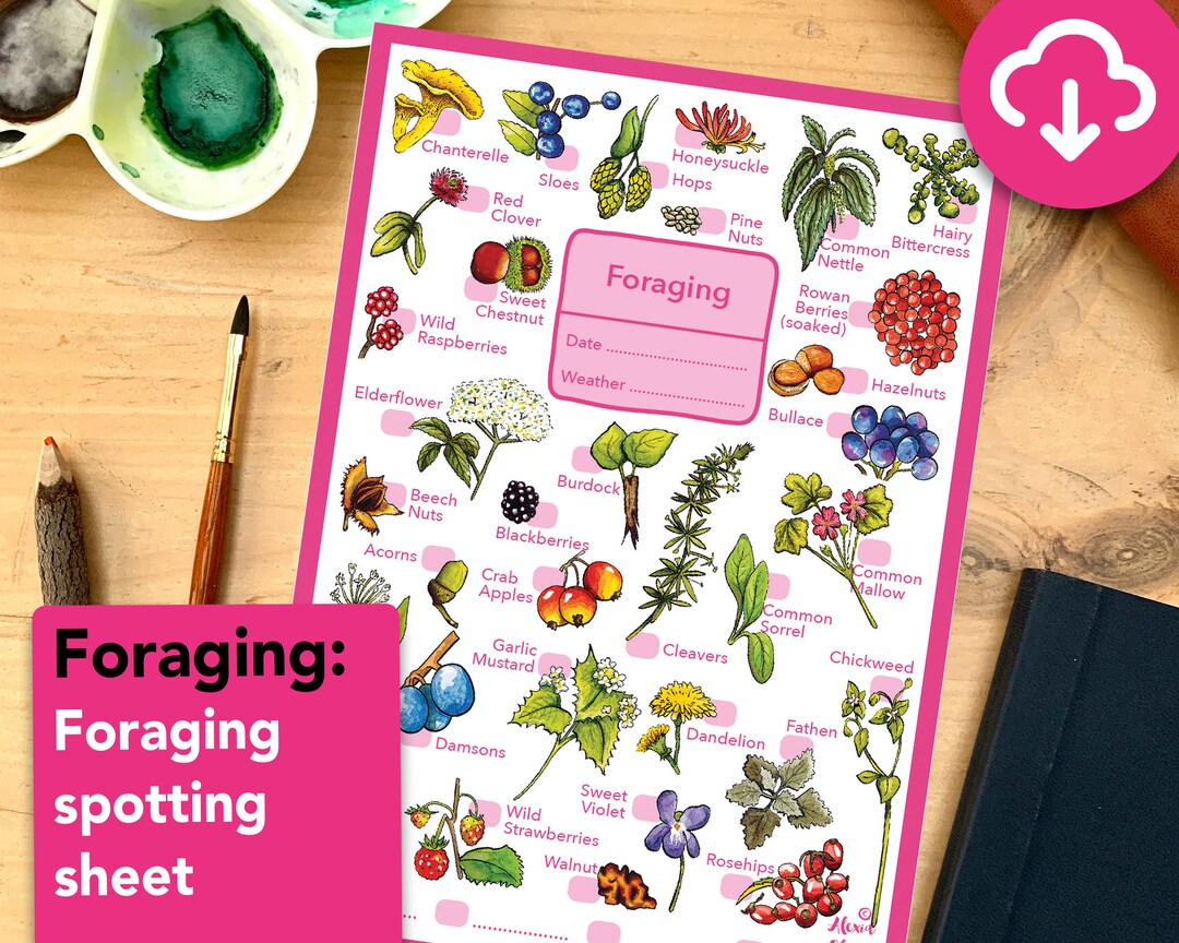 Foraging Spotting Worksheet - Educational Wildlife Printable - Etsy