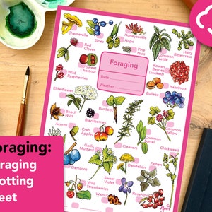 Foraging Spotting Worksheet - Educational Wildlife Printable - Etsy