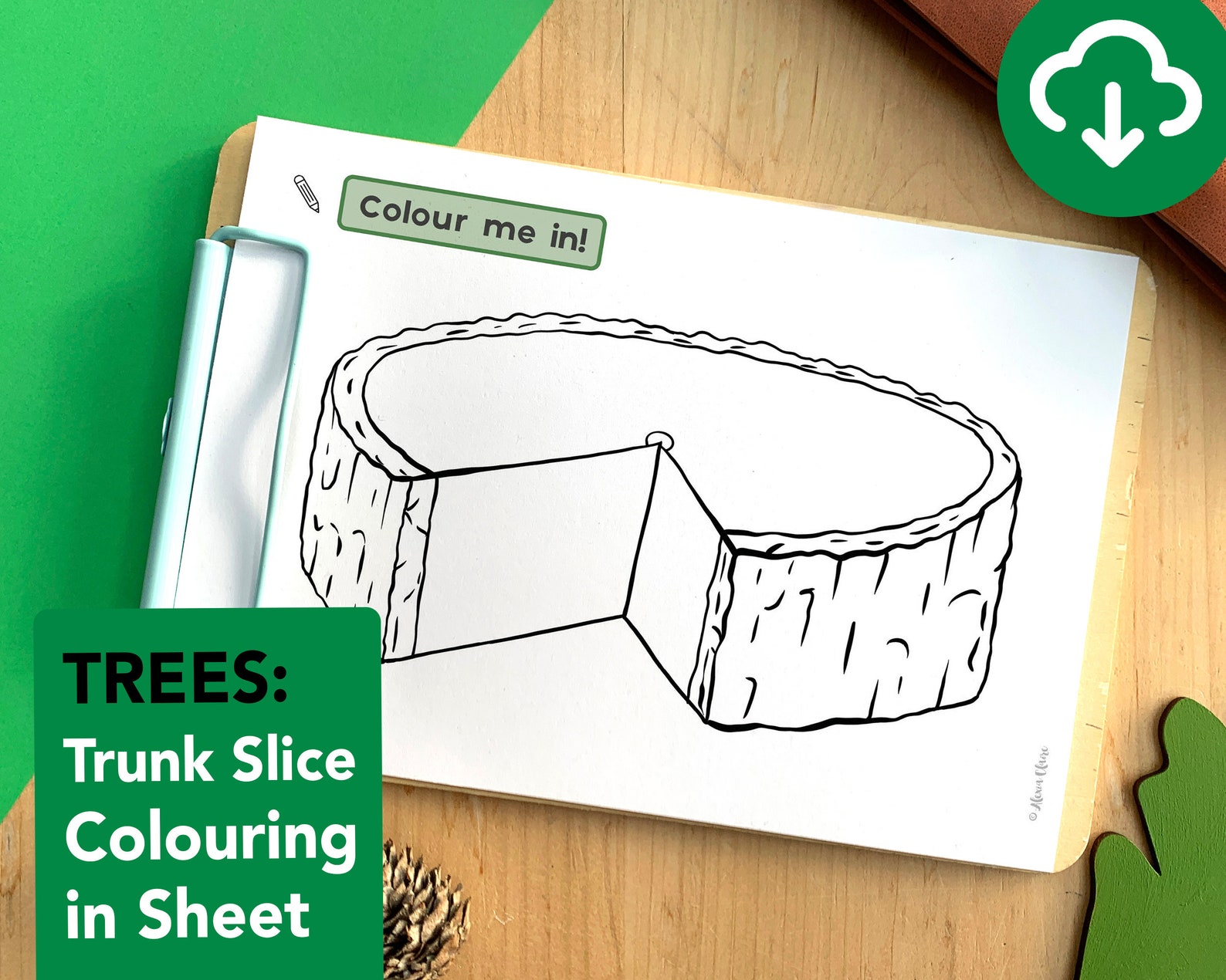 Trees Trunk Slice Colouring in Sheet - Educational Tree Printable - Etsy