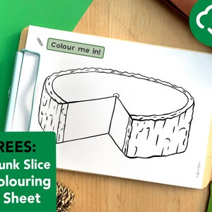 Trees Trunk Slice Colouring in Sheet - Educational Tree Printable - Etsy UK