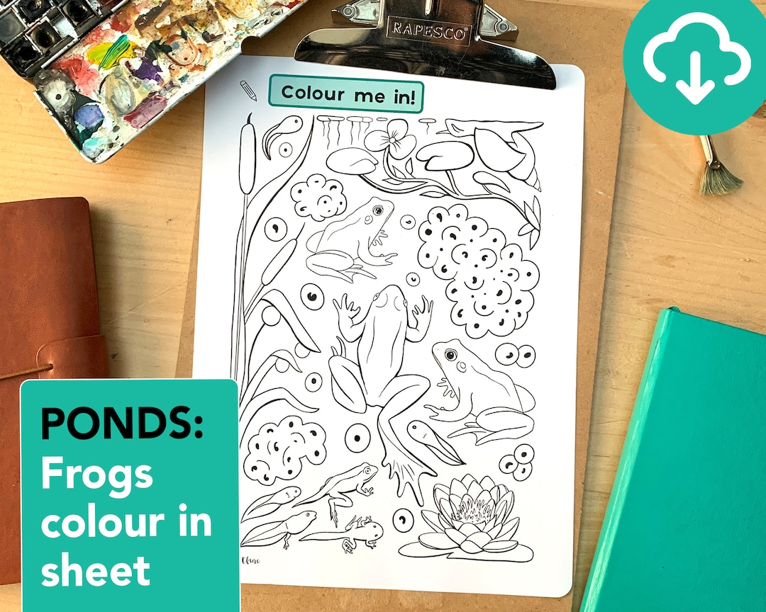 Frog Colouring in Sheet - Educational Pond Printable - Etsy UK