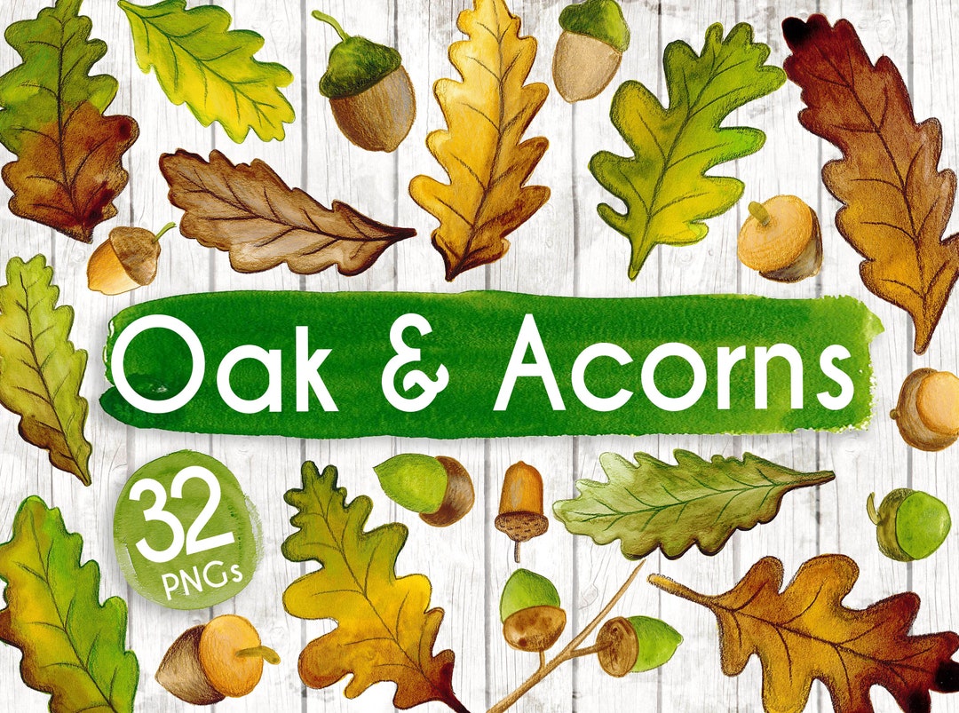 Autumn Oak Leaves Watercolour Clipart - Watercolour Fall - Planner ...