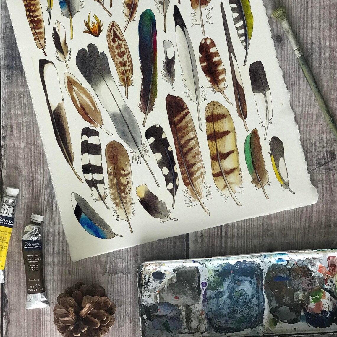 Feathers of Britain Print, Feathers Poster, Feather Collection ...