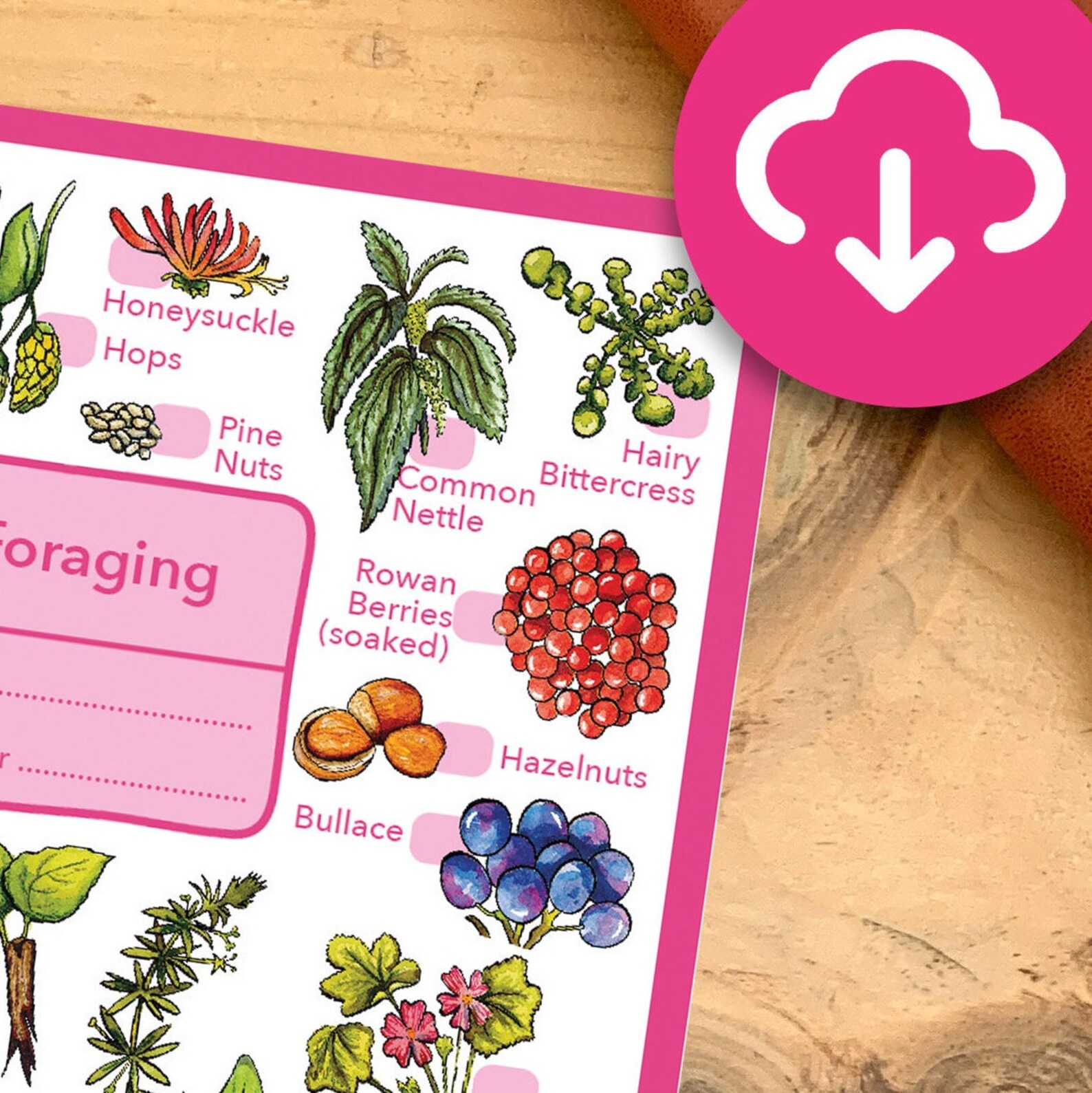 Foraging Spotting Worksheet - Educational Wildlife Printable - Etsy