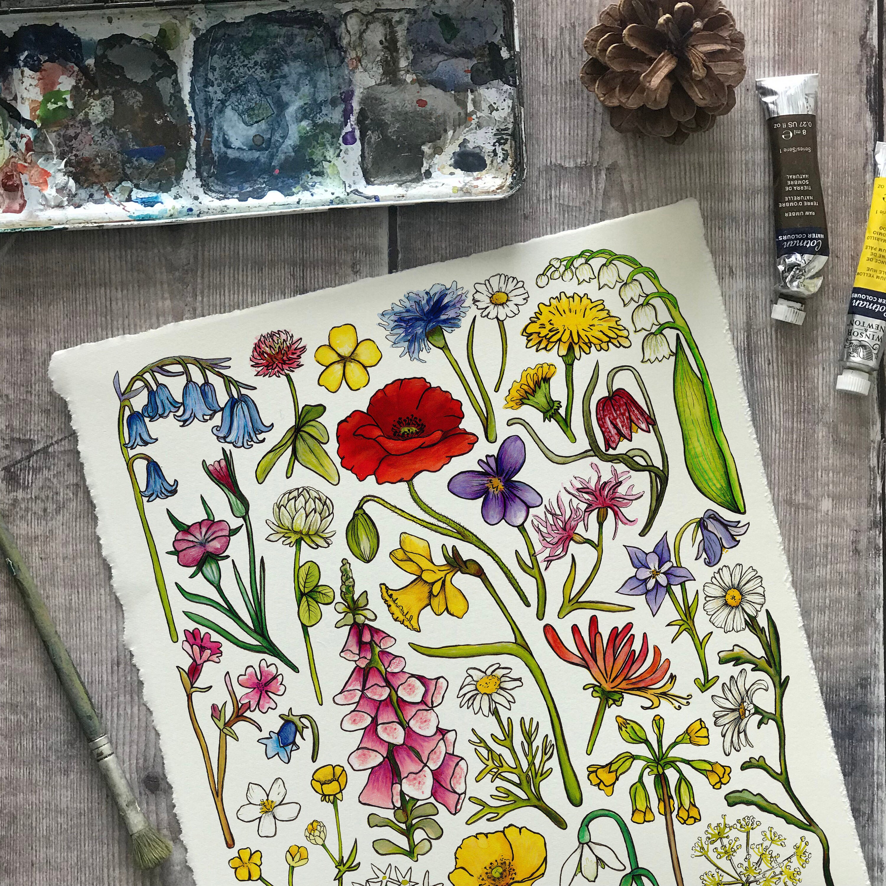 Wildflowers of Britain Postcard Flowers Poster Floral | Etsy UK