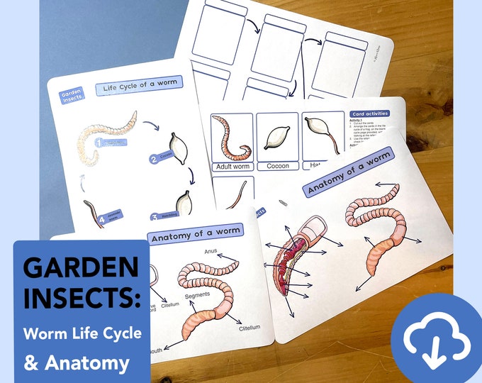 Life Cycle of an Earthworm Learing Pack | Charts, Wheel and Flash Cards ...