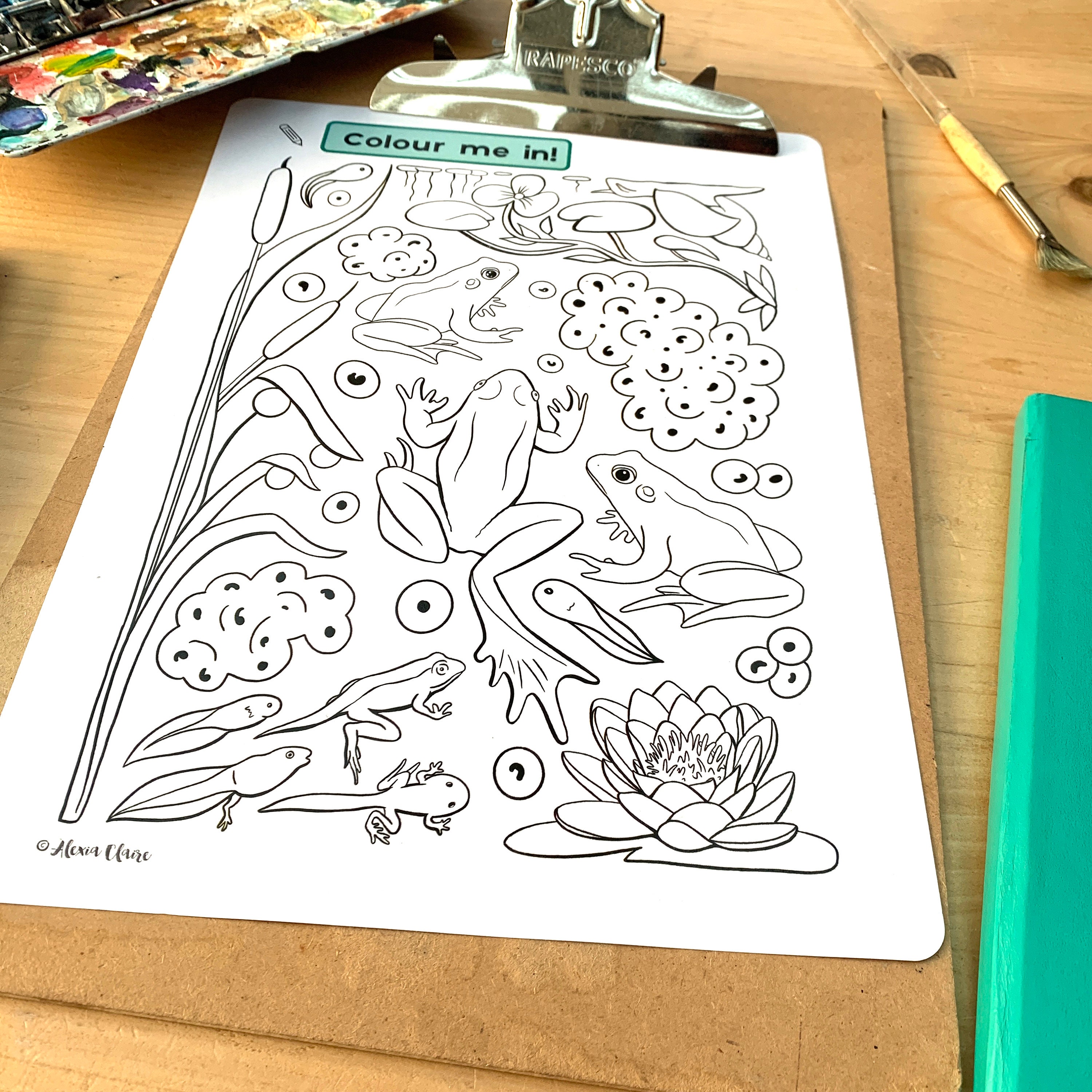 Frog Colouring in Sheet Educational Pond Printable | Etsy UK