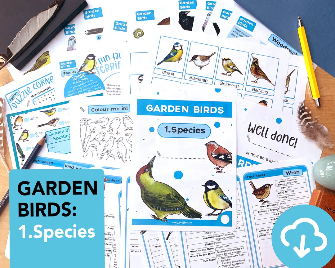 Garden Bird Species Nature Study Pack - Educational Birds Printable ...