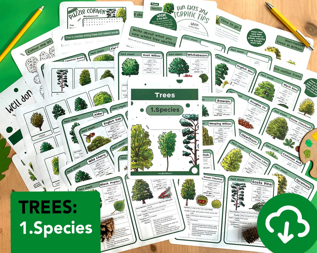 Tree Species Nature Study Pack - Educational Trees Printable - Home ...
