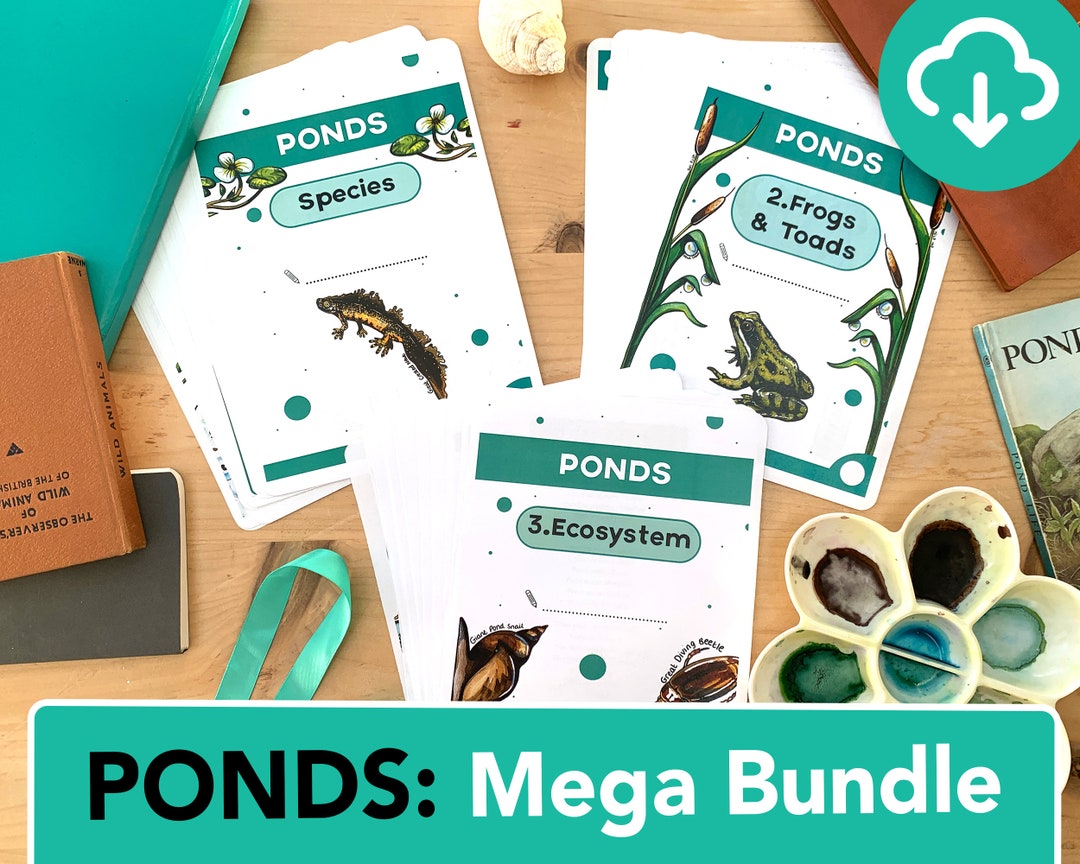 Mega Bundle Ponds Nature Learning - Three Mini Studies in One - Pond ...