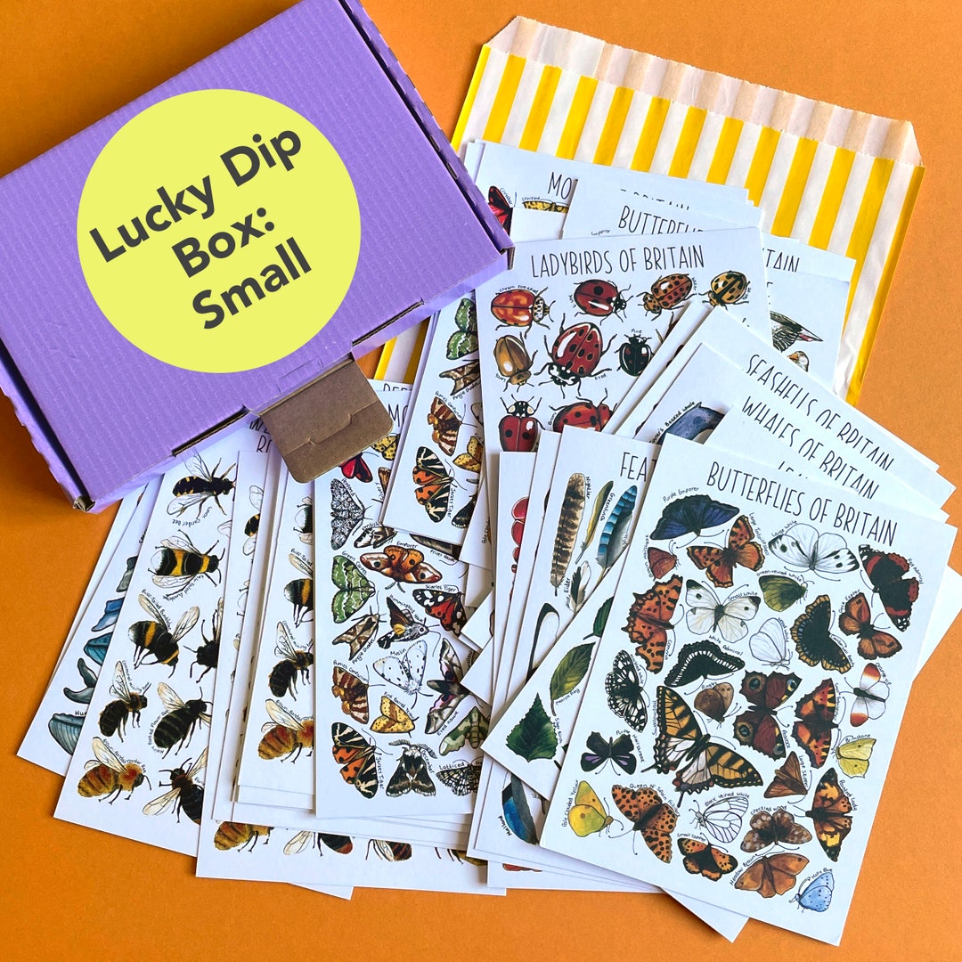 Lucky Dip Box Small Size Postcard Seconds Mystery Box - Etsy UK