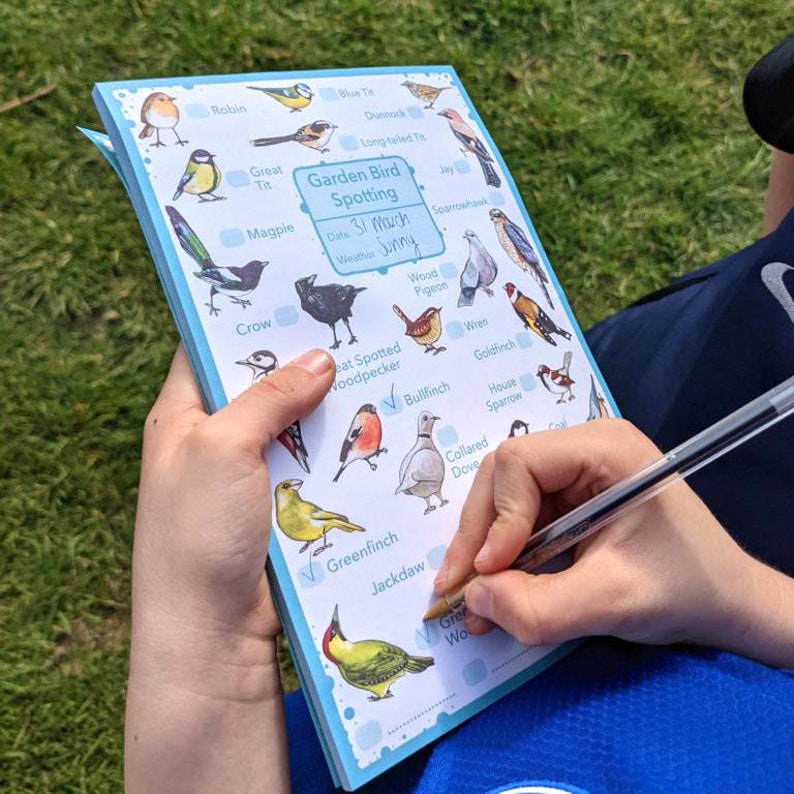 Garden Birds Spotting Worksheet - Educational Wildlife Printable - Etsy