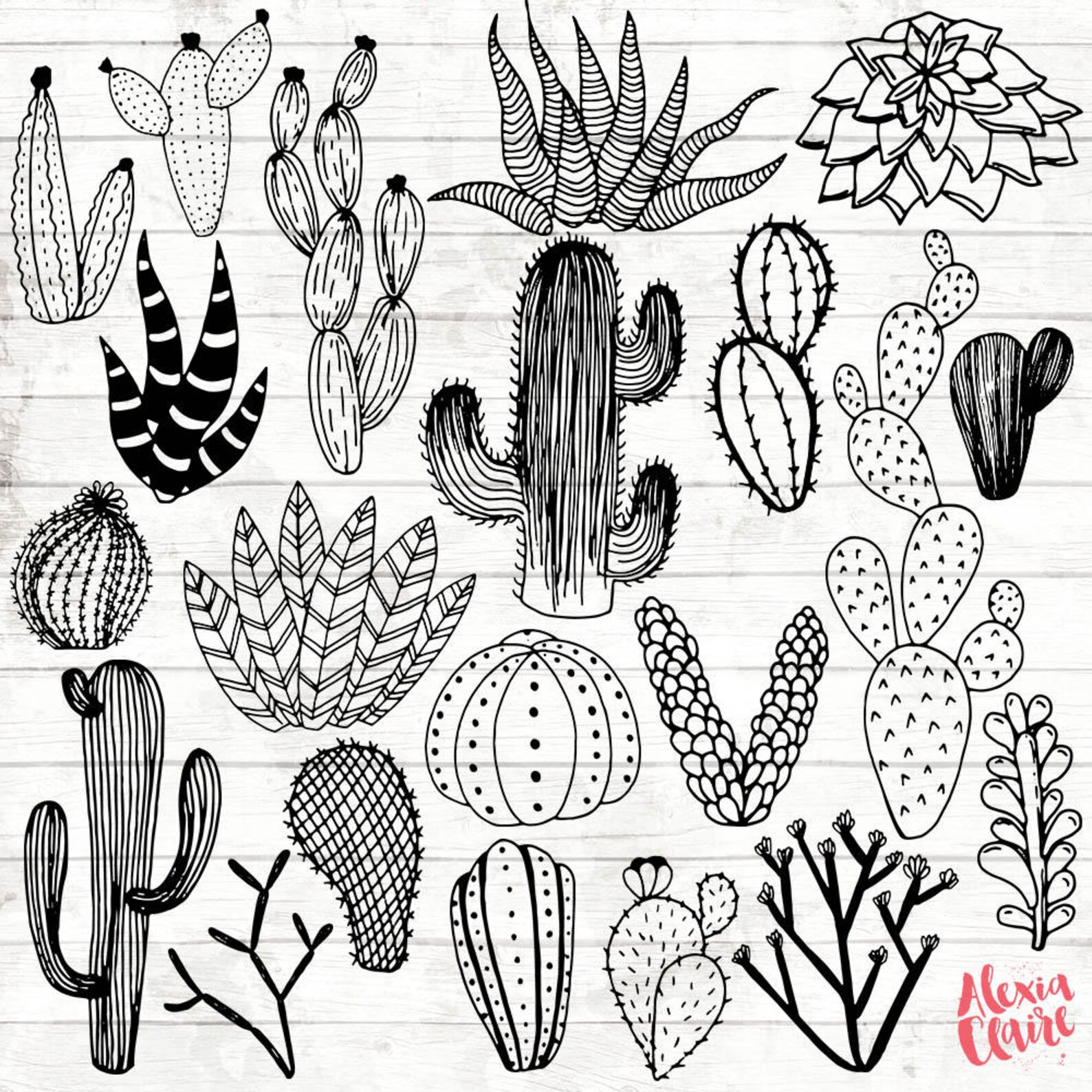 Cactus Clipart Hand Drawn Cactus Clipart Vector Cactus Art Cactus ...
