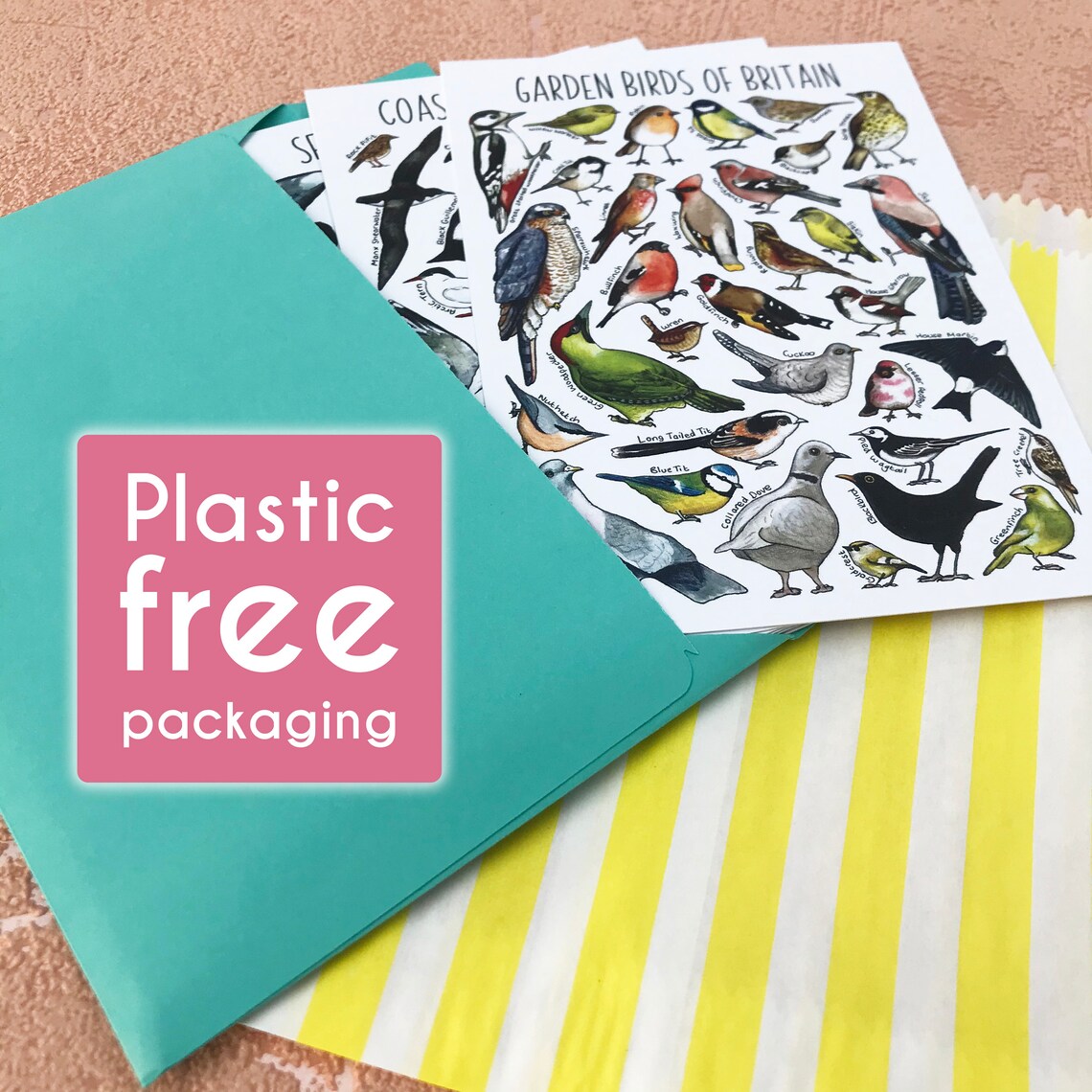 British Wildlife Postcard Pack of Twelve Postcards Pack - Etsy