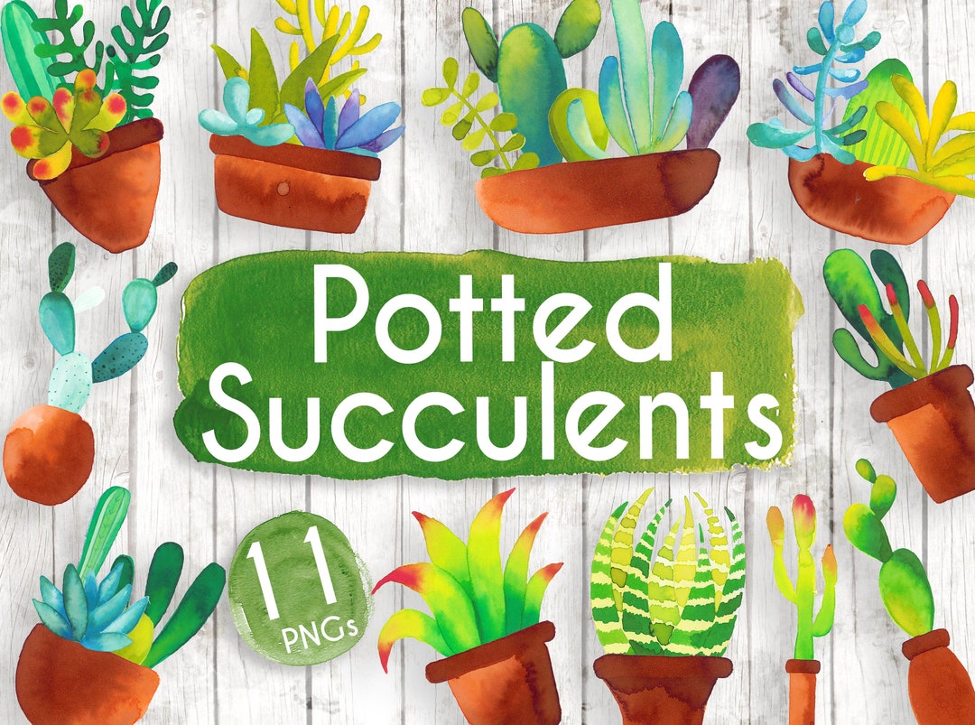 Cactus and Succulent Clipart - Mini Potted Cactus Clipart - Succulent ...