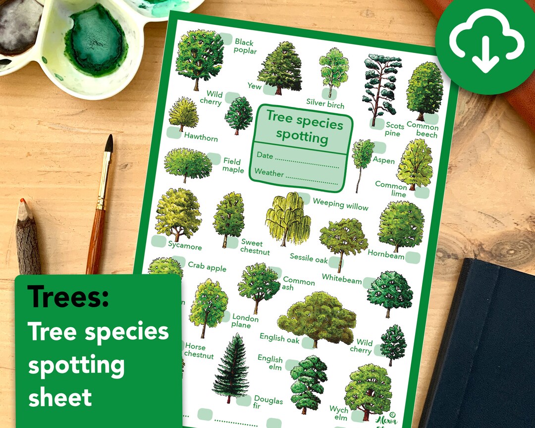 Trees Spotting Worksheet - Educational Wildlife Printable - Etsy