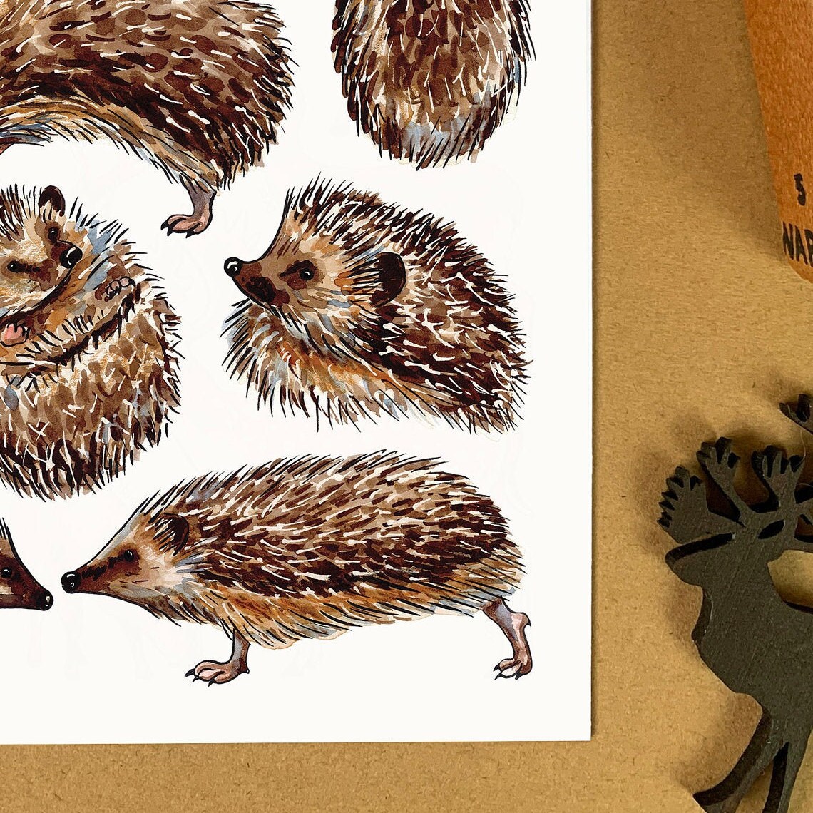 Hedgehogs Watercolour Postcard Array of Hedgehogs Postcard - Etsy UK