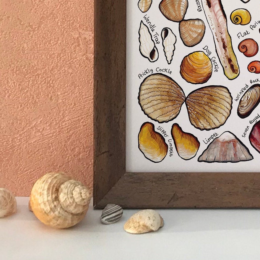 Seashells of Britain Print, Shells Collection Poster, Nursery Print ...