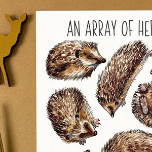 Hedgehogs Watercolour Postcard Array of Hedgehogs Postcard Notelet ...