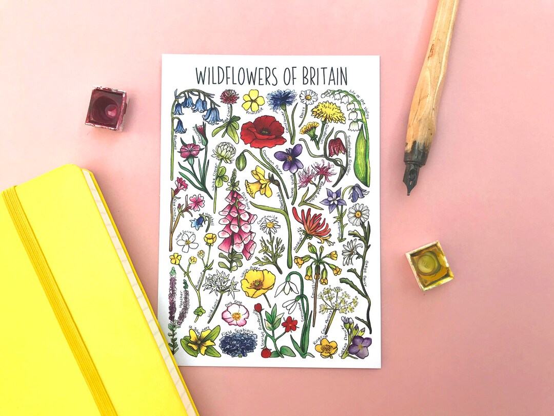 Wildflowers of Britain Postcard, Flowers Poster, Floral Collection ...