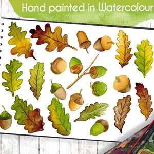 Autumn Oak Leaves Watercolour Clipart - Watercolour Fall - Planner ...