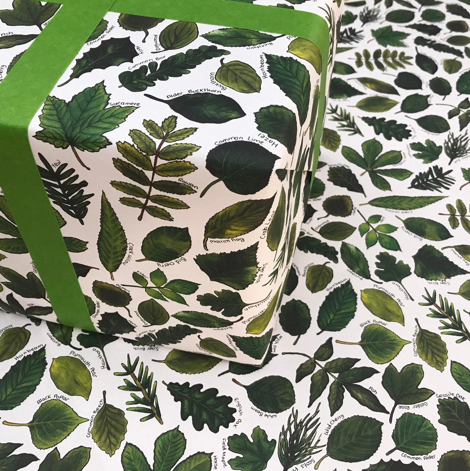 Leaves Wrapping Paper leaf type paper British Leaves Gift | Etsy