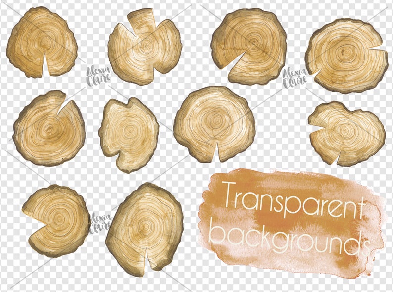 Tree Slice Clipart Watercolour Wedding Clipart Planner | Etsy