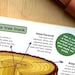 Tree Trunk Slice Diagram Educational Tree Printable - Etsy