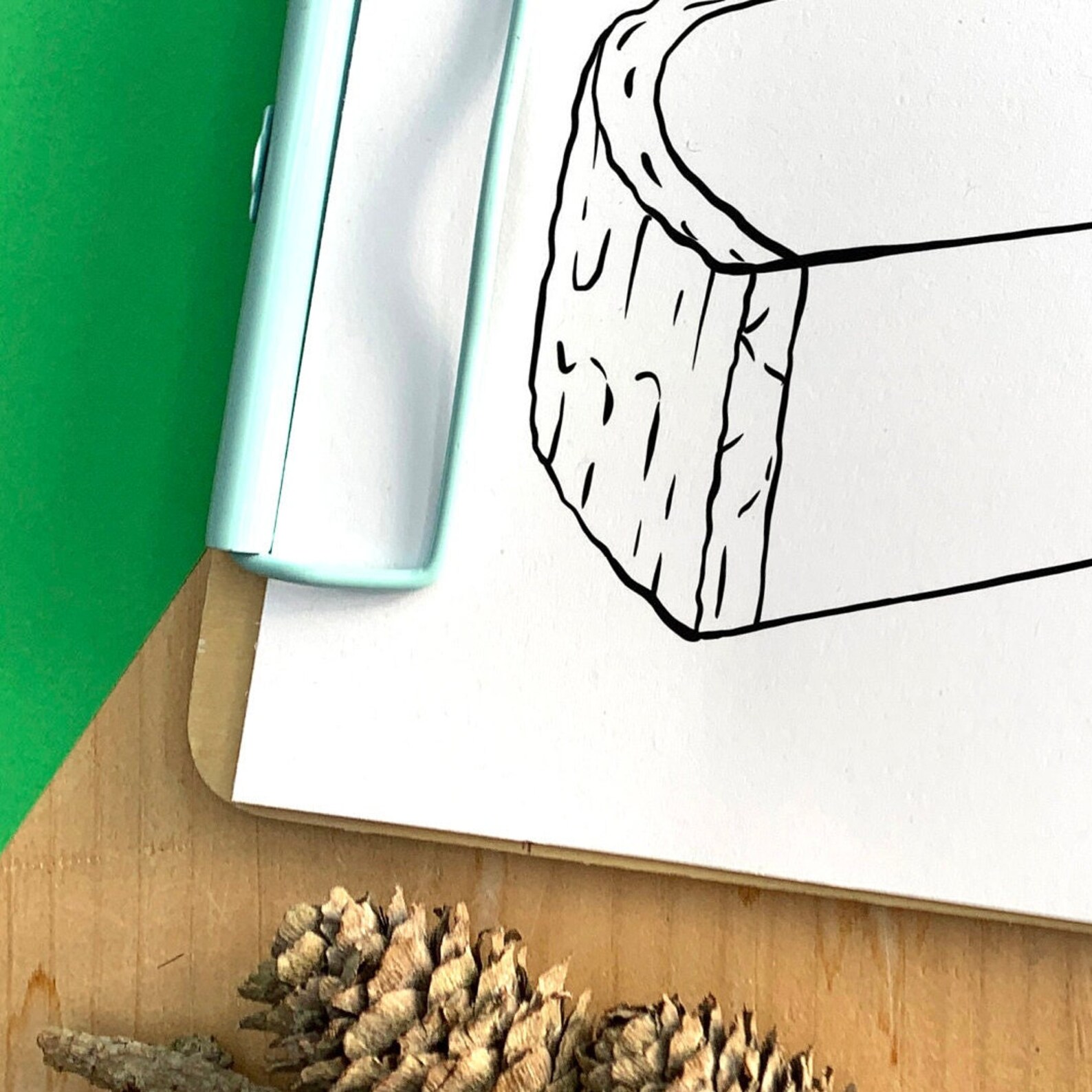 Trees Trunk Slice Colouring in Sheet - Educational Tree Printable - Etsy