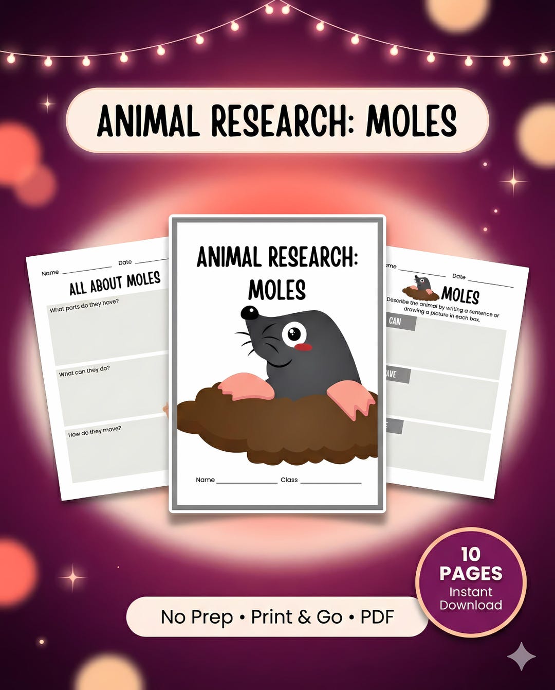 Mole Animal Research Project | Mole Report Worksheet | Kindergarten 1st Grade Science | Mammal ...