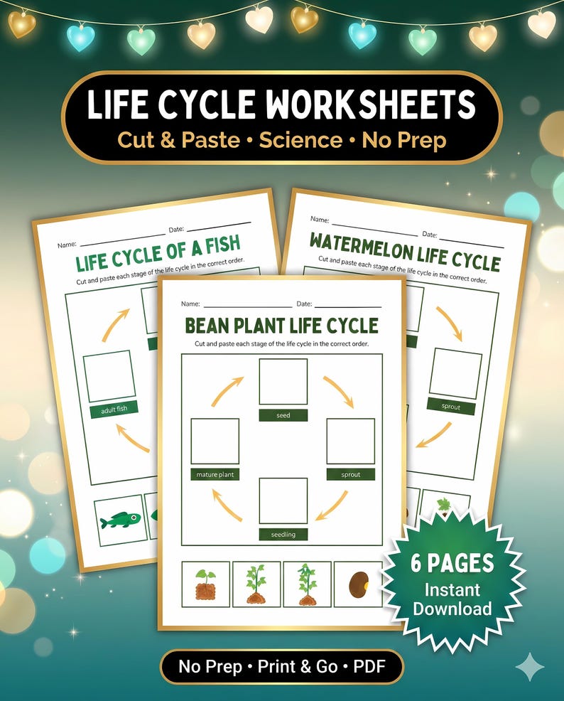 Life Cycle Cut and Paste Worksheets | Bean Plant Watermelon Fish | No ...