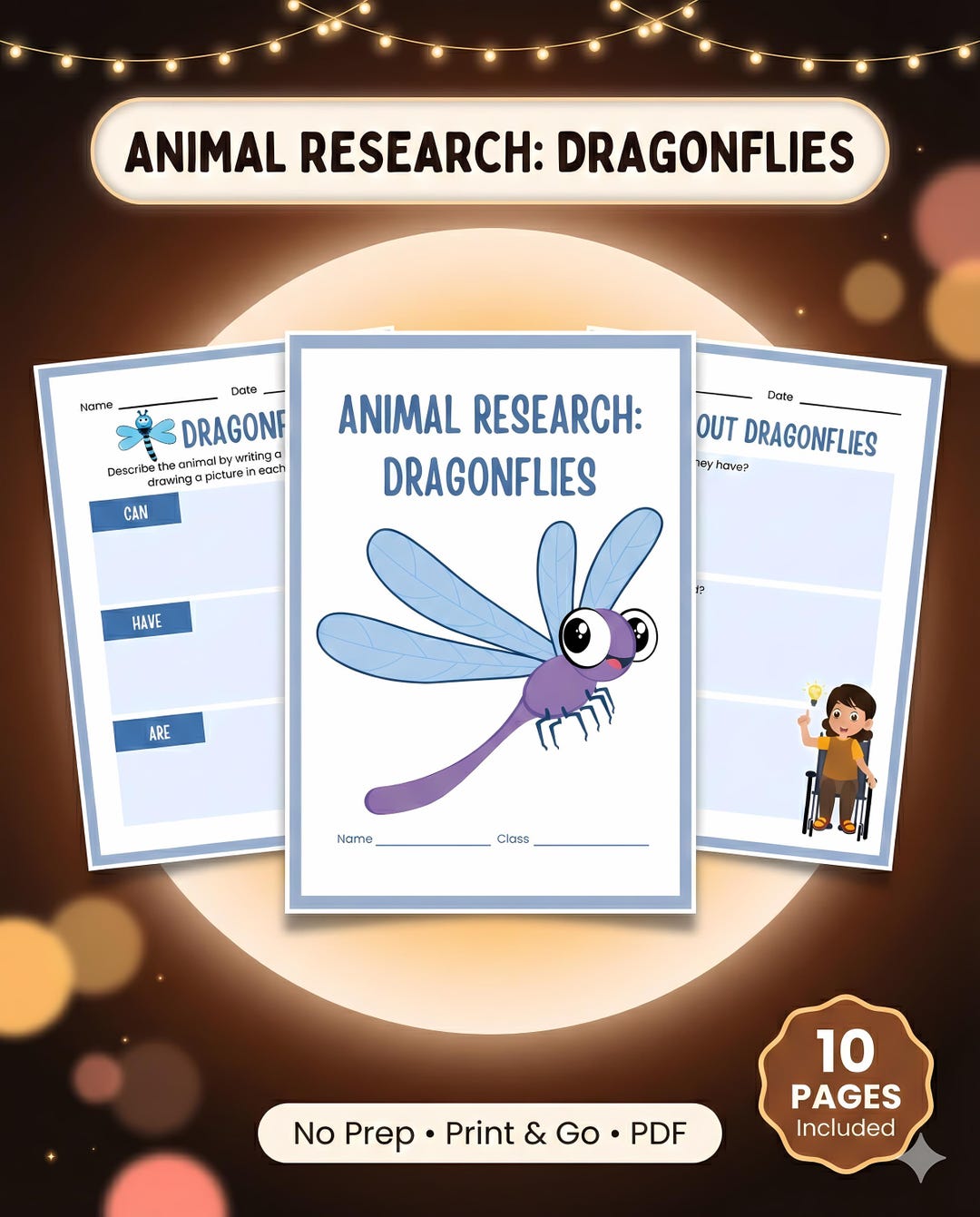 Dragonfly Research Worksheet | Animal Report Template Printable ...