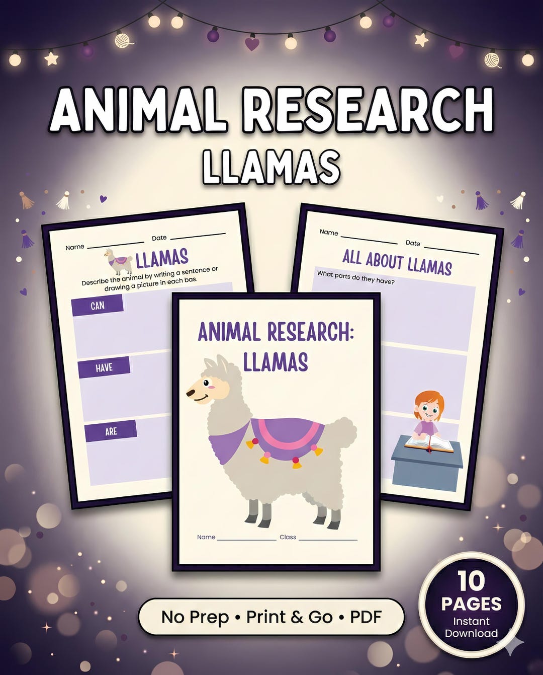 Llama Animal Research Project | Llama Report Worksheet | Kindergarten ...