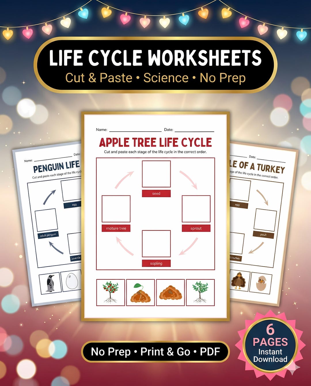Life Cycle Worksheets Cut , Paste | Apple Tree, Penguin & Turkey | No ...