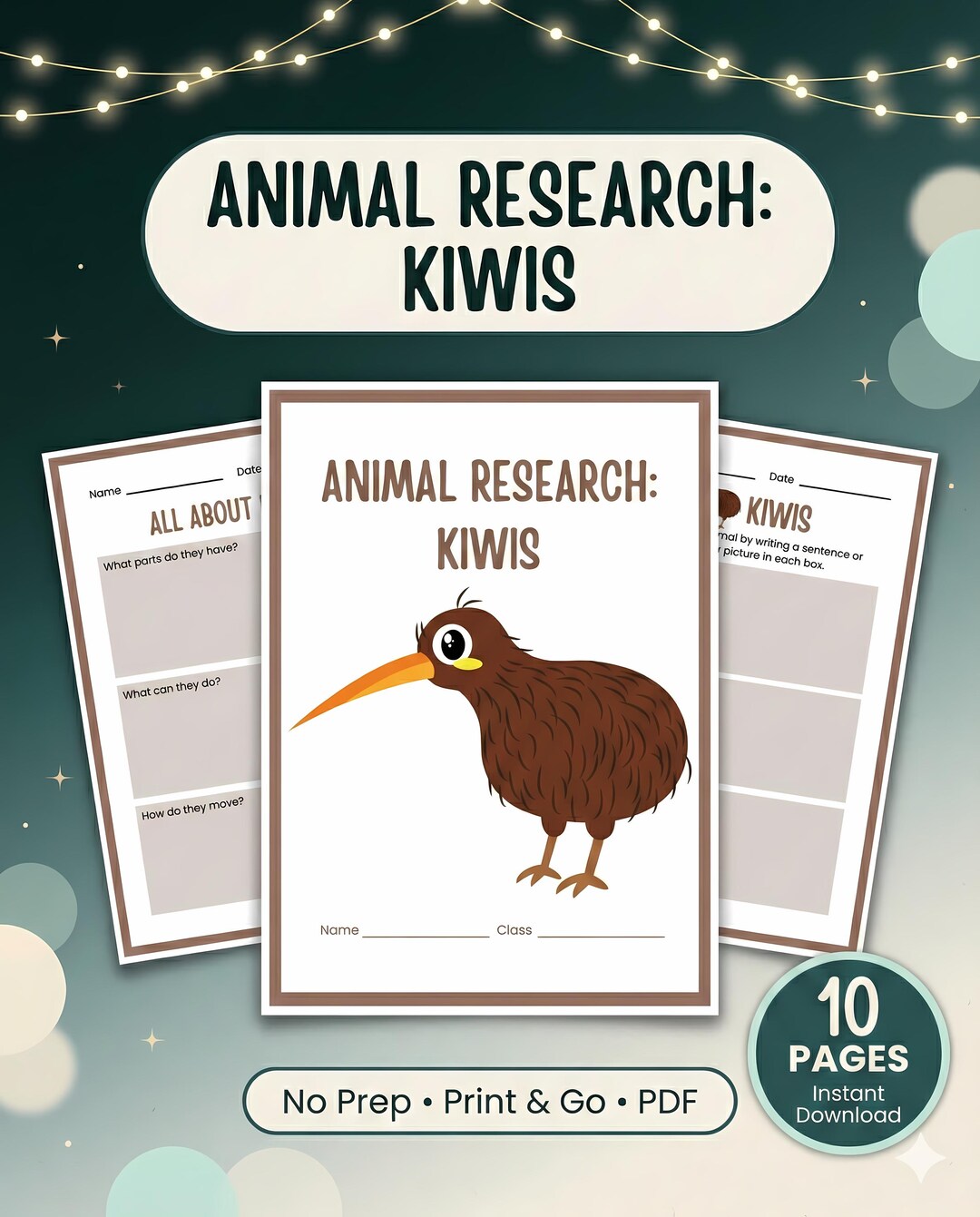 Animal Research: Kiwi Bird Worksheet | No Prep Print & Go Animal Report ...