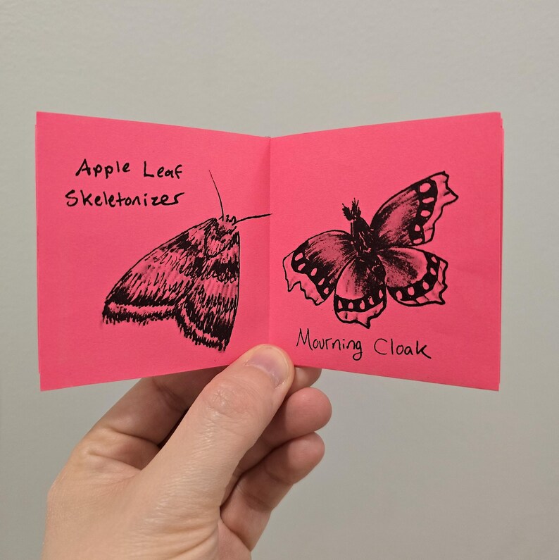 The World's Most Badass Moths!! Tiny Zine - Etsy