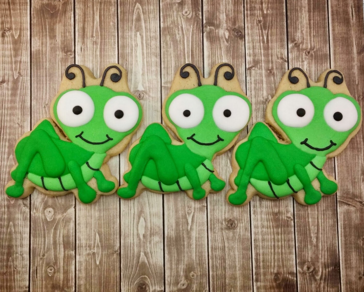 Grasshopper Cookie Cutter and Fondant Cutter and Clay Cutter - Etsy