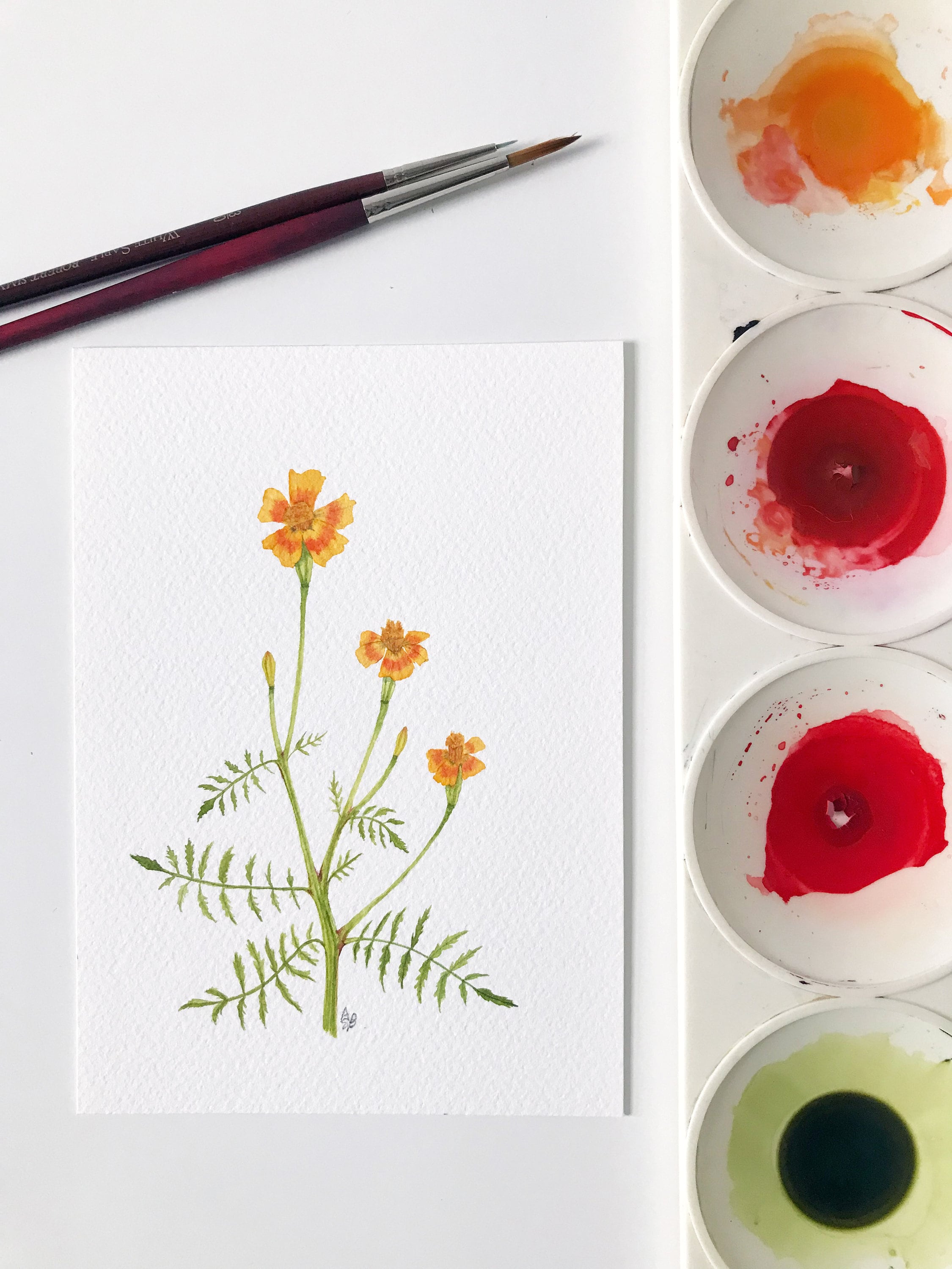 Marigolds Digital Embroidery Pattern with Two Versions of | Etsy