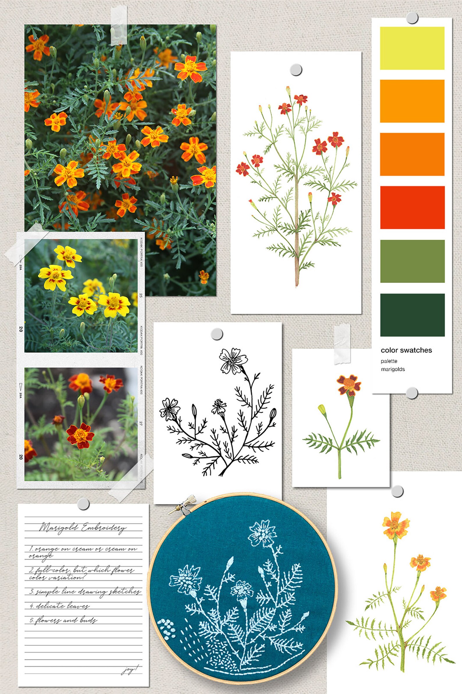 Marigolds Digital Embroidery Pattern With Two Versions of Embroidered ...