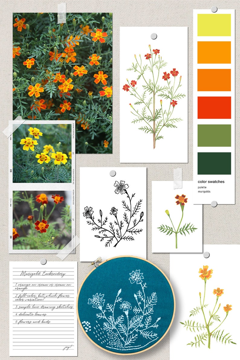 Marigolds Digital Embroidery Pattern With Two Versions of - Etsy