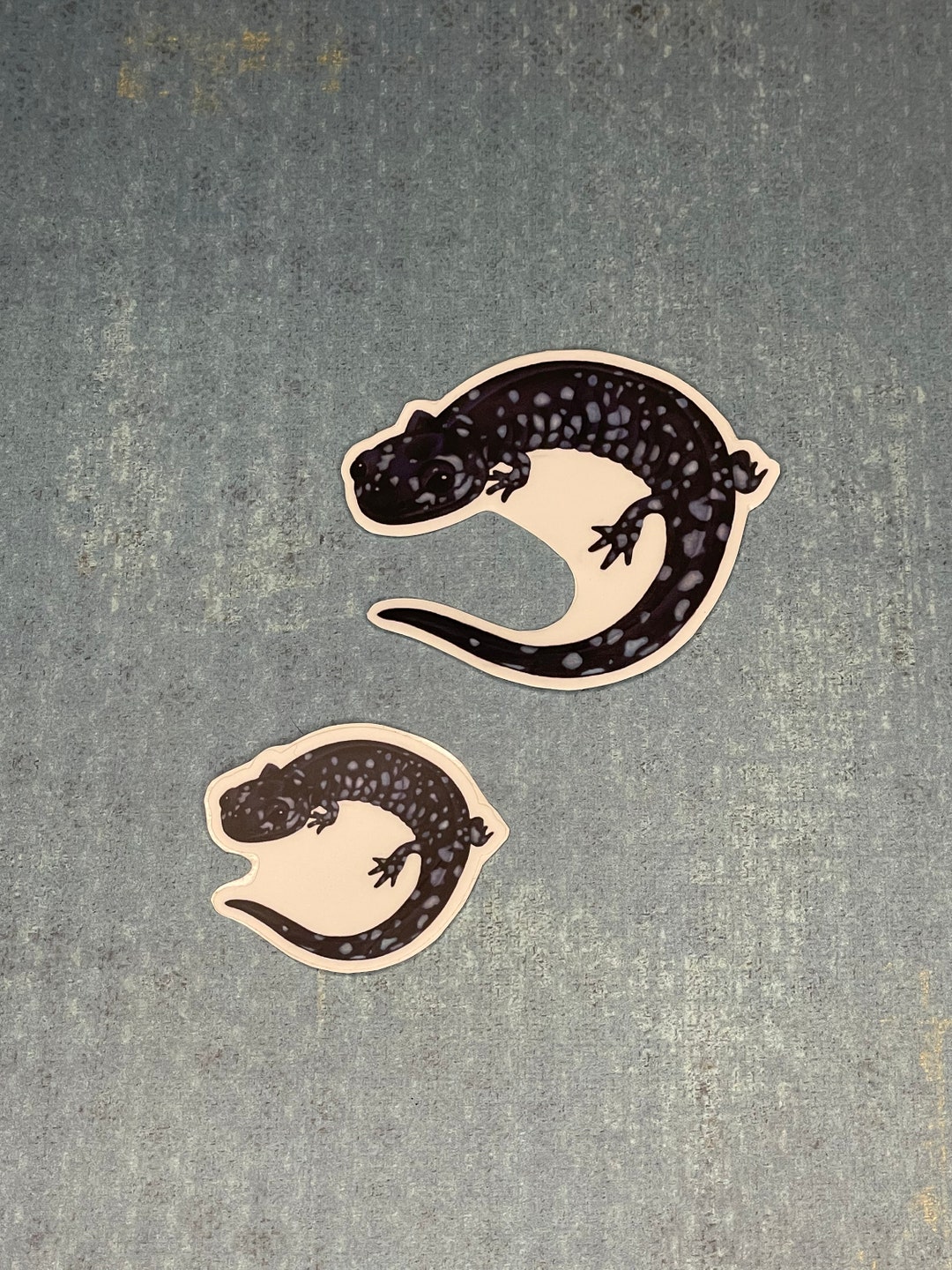 Blue-spotted Salamander Stickers - Etsy