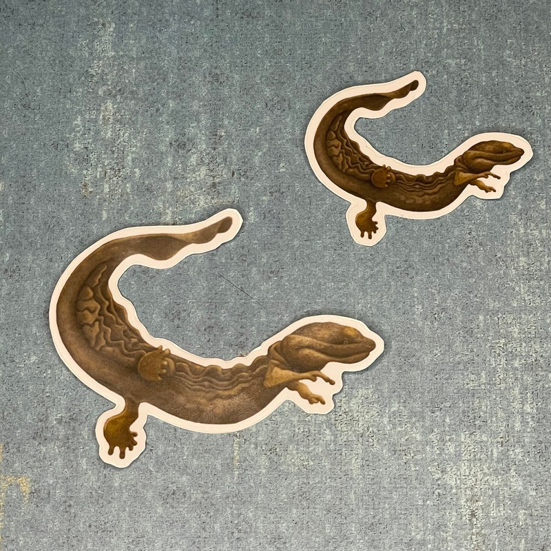 TheNaughtyRabbit - Etsy