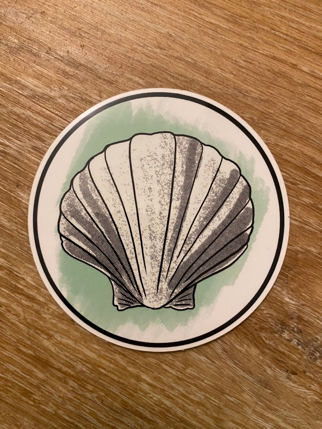 Clam Shell Sticker - Ocean Sticker - Etsy