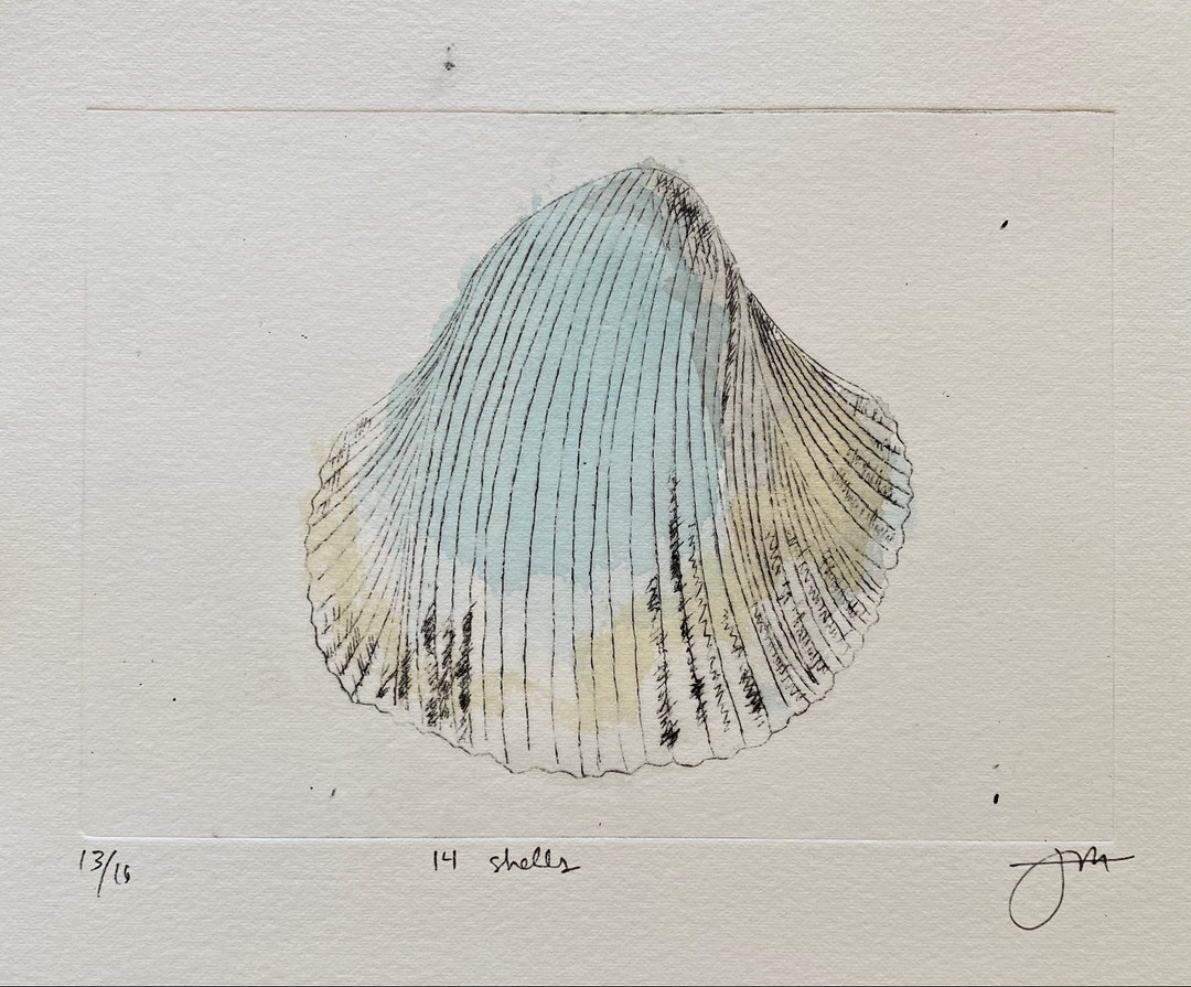 Handmade - 14 Shells - Etching Artwork - Etsy